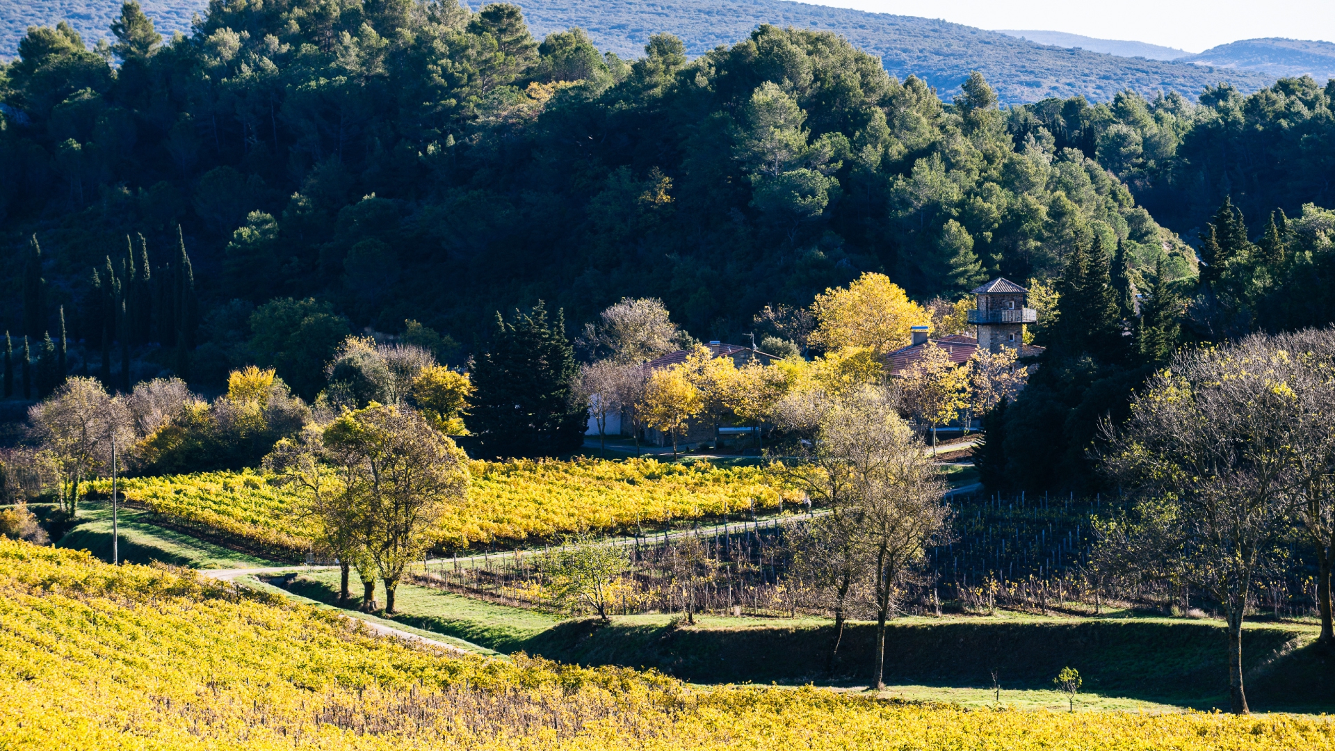 Domaine Calmel & Joseph - Agence-S communication Avignon